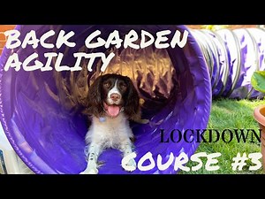 SMALL BACK GARDEN DOG AGILITY | LOCKDOWN Agility Course #3