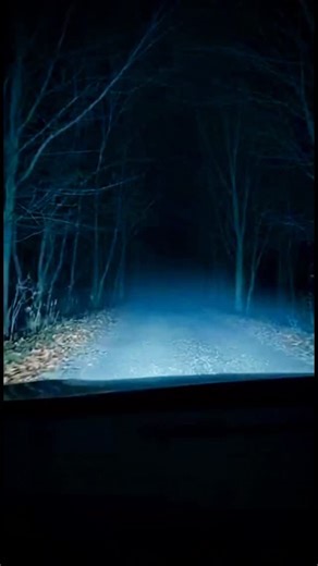 Shawn Arranha on Instagram: "🌲 The Road to Nainital Never Ends...👿👿 They told us not to drive through the Corbett stretch after midnight. We didn’t listen. 🚗💨 The fog on the way to Nainital started getting thicker, turning the pine trees into jagged shadows. One minute we were laughing at a playlist, the next... silence. The headlights hit something that wasn’t human. It didn’t just stand there. It waited. If you’re planning a night drive to the hills, think twice. Some things in the mounta