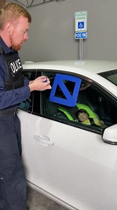 39K views · 339 reactions | Police man shows how to open the window in emergency #Reels | The Imaginary Art Exhibit | Facebook