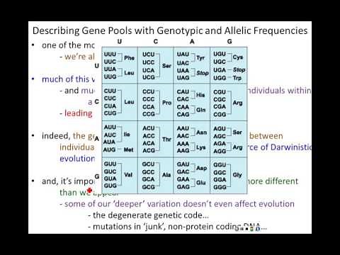Lecture 18 - Population Genetics, Part 1