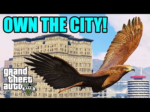 HOW TO CONTROL YOUR ANIMAL AT BEST - How to fly a bird - How to run faster then cars! PEYOTE | GTA 5