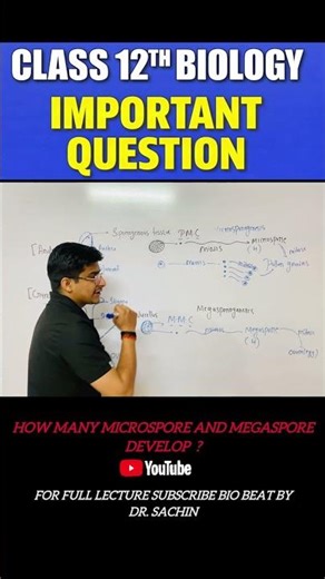 Class 12th Exam important question microsporogenesis and megasporogenesis