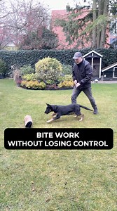 If you can’t teach bite work calmly… I guarantee it’s because of your method. You’ve likely tried tying the dog to a post and then provoking it with the decoy. You drive the dog completely crazy, since it can’t reach the decoy at first and ends up wanting it at all costs. That CAN work to teach bite work… But you’ll often come across problems with releasing. Instead… Built it up in a calmer way. First, we start with some obedience. After, teach the dog to bite correctly and to really want to hol