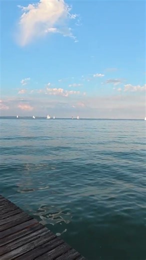 The Endless Bridge: A Unique Experience #shorts