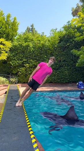 Topper Guild on Instagram: "How Far Can You Fall?"