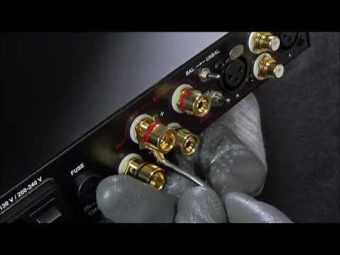 Postes/bornes de conexión de baffles y amplificadores: Así se usan.