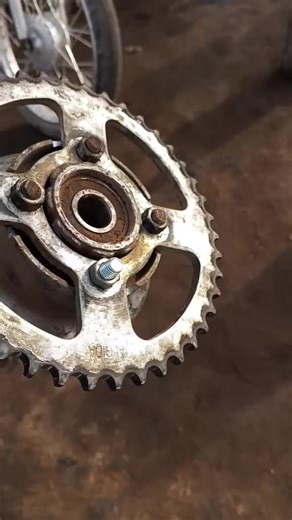 B.O.C back uP 🏍️👑💥 (@b.o.c.7)’s videos with Ku Dau Hakuri - Sarki Elmusty