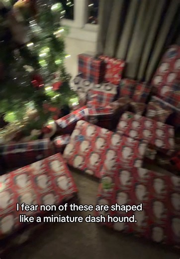 Miniature Dachshund Christmas Cheer