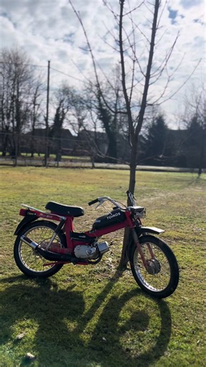 Spring is Coming Soon: Get Ready for the New Season!