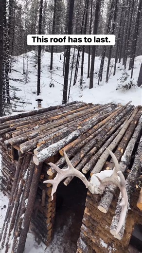 This is where a bushcraft shelter earns its roof. Every log is lifted, positioned, and secured by hand—measured for snow load, aligned for drainage, and locked in to handle wind, weight, and deep winter conditions. No rushed shortcuts. Just real bushcraft methods that decide whether a shelter holds… or fails. The roof doesn’t forgive mistakes. That’s why this step matters most. 👉 Share this with someone who respects real bushcraft builds Would you trust a roof built this way to handle winter? �