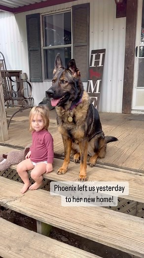 97K views · 10K reactions | We received so many great applications...