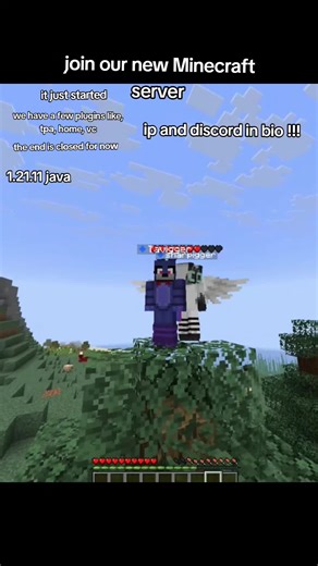 join my new Minecraft server #server #java #minecraft #fyp #femboy | Minecraft Server