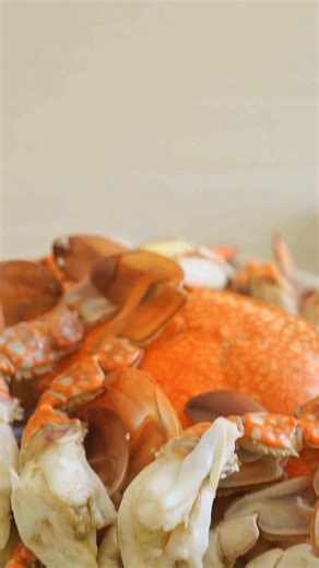 From day one, the Date Plate at our crab spot delivers with crab legs, shrimp, and fixings—order online for a hassle-free feast! #SeafoodLovers #CrabFeast #ShrimpLovers #DinnerForTwo #FoodieHeaven #OnlineOrdering #SeafoodDelight | Krabby Daddy's Poplar Bluff