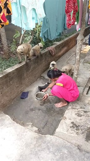 Chiranjit Nandi on Instagram: "Hanuman ji meri bibi ko chor neki nam nehi kar raha ha🤣🤣 #hanumanji #hanuman"