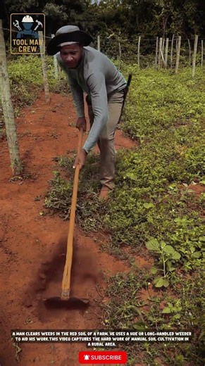 Local Farmers' Secret: Using a Hoe for Maximum Yields #tools #workers #diy