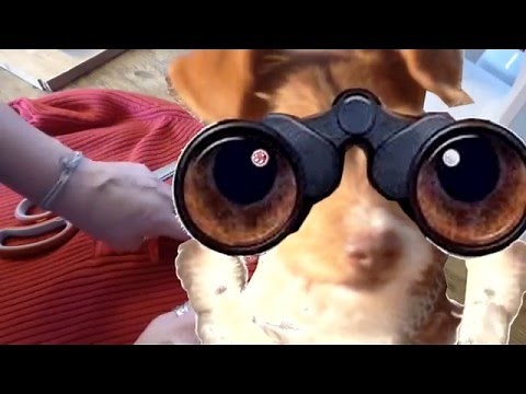 TUTORIAL: Cutting and transforming a sweater collar