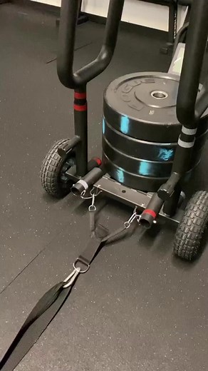 1.3K views · 20 reactions | Xebex Fitness XT3 Sled Sessions at CrossFit Tigard  #sledtraining #functionalfitness #gymequipment #getrxd | Get Rxd | Facebook