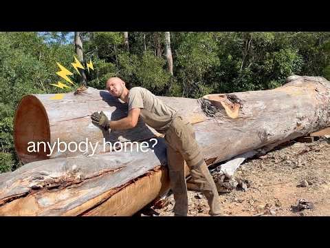 THIS LOG WAS SCREAMING AT ME? | Solo milling with no heavy machinery