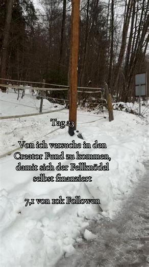 #pferd #equestrianlife #springspanier #reitsport #dressurpferd