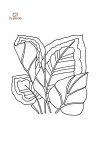 Arrowroot coloring page ♥ Online and Print for Free!