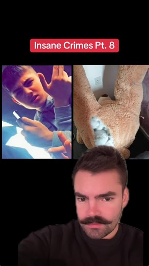 The Surprising History of Teddy Bears