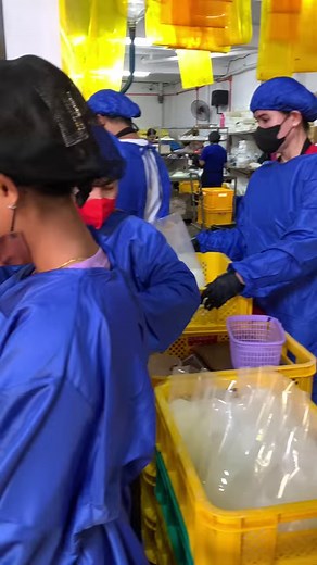 27K views · 372 reactions | Learn How to Make Dishwashing Liquid and Start your own DISHWASHING LIQUID BUSINESS  | Wise Cleaner | Facebook