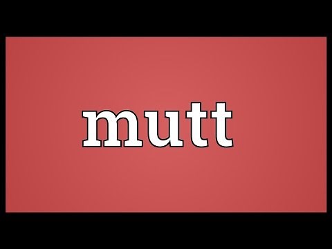 Mutt Meaning