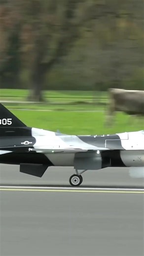 Giant F-16 Turbine Jet Powers Up and Blasts Off! #warbird #rcplane #rcjet #turbinepower #FPV | Smoky FPV