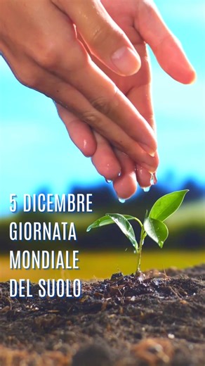 🌱 Acqua e suolo: insieme danno vita al futuro. Tra loro esiste un doppio legame: da un suolo sano nasce acqua buona, e un’acqua ben depurata mantiene fertile e vivo il suolo. Nella Giornata Mondiale del Suolo, come ogni giorno, custodiamo e valorizziamo questo equilibrio essenziale. 💧 Depuriamo l’acqua e la restituiamo pulita alla terra, promuovendo il riuso e la tutela delle falde. 💧 Riduciamo sprechi ed emissioni con reti intelligenti ed energia pulita, rendendo più efficienti gli impianti 