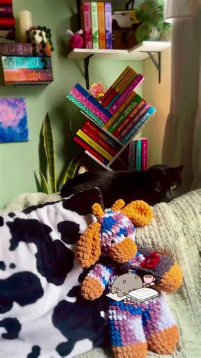 What my photo app looks like. #pictures #cats #booktok #bookish