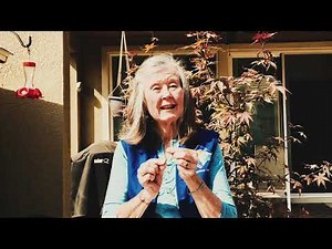 Parts of a Flower - Botany from a UCCE Stanislaus County Master Gardener!