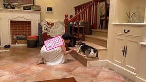 11042021 Sáng tạo doanh Mocha update Weibo: "Bản Mocha khổ quá mà, mau tới cứu tui điii" Ôi Mocha ơi, làm chó phải có tâm của chó chứ em làm thế này các chị Cá phải làm sao hả Mocha ơi. Lãnh Hàn Mocha ơi, em ngại gì mà che che với đậy đậy như này chứ T_T Mocha ơi, em xê ra đi, để chị đây chịu khổ hộ cho nàoooo 👉🏻Hướng dẫn cày view focus cam: https://bitly.com.vn/p7gpc4 Search #第三次公演舞台直拍-刘宇《冒险计划》 để tìm focus cam ____ Link focus cam: https://v.qq.com/x/cover/mzc00200f2347x8/d0036t9mewq.html ✨Xe