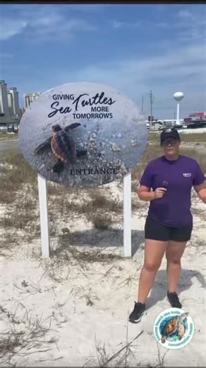 1.6K views · 18 reactions | Celebrate Sea Turtle Week with a...