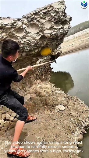 Expertly Harvesting UNIQUE Yellow River Stones with Precision Tools! 💎⛏️