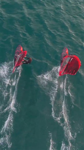 Introducing the NEW Fox Pro 👇🏽