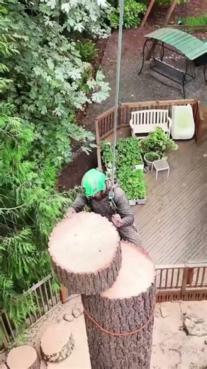 The process of cutting large pieces of wood safely #shorts