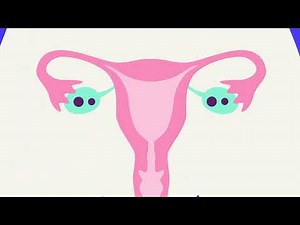 Contraceptive Implant: How does it work?