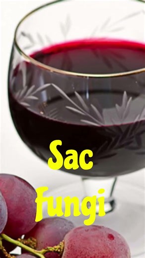 Toxic & Destructive Fungi#viralvideo #sciencefacts #didyouknow #mycology #fungiclassification