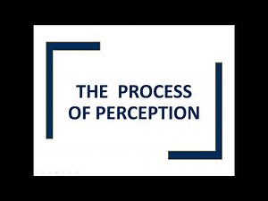 The Process of Perception