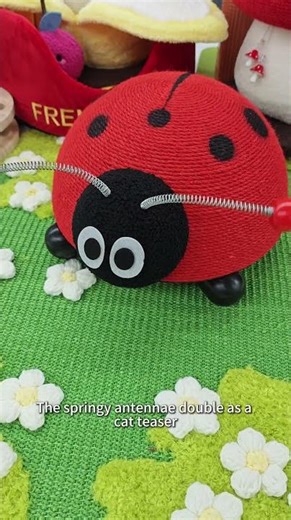 Cute Animal Cat Scratch Board in Action 🐾