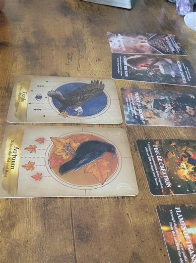 This b!t¢√ trying to block your blessings and keep u distracted and overwhelmed but angels of change surround u and this situation #healing #tarot #archangelazrael #archangelmetatron