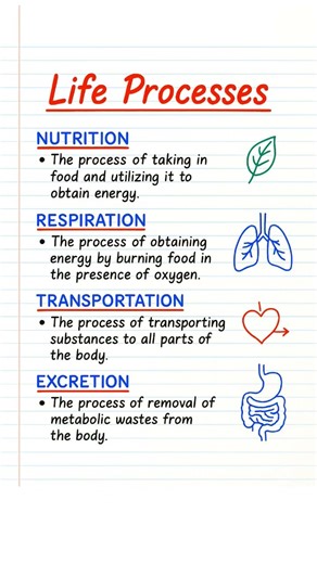 Class 10 Science Life Processes Notes ✨ | Beautiful Handwritten Notes | Board Exam 2025