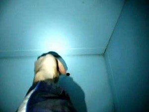 Elevator surfing part 1: Hacking the shaft (hoistway)