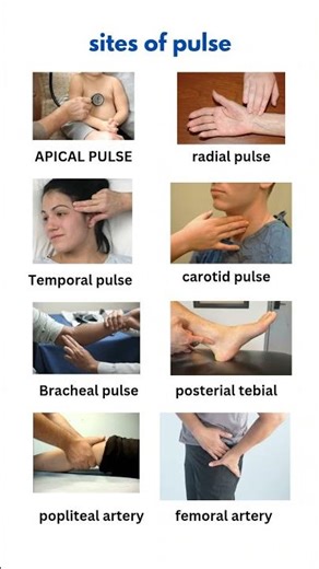 "Sites of Pulse Explained | 8 Important Pulse Points in Body | Nursing Students Must Watch"