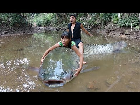 Survival Skills: Primitive Couple Unique Hand Fishing Catch Big Fish - Cooking Delicous Fish
