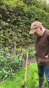 100 reactions · 5 comments | Planting Snowdrops in grass for late winter early spring flowering. Using the T Handled pipe planter from De Wit . Planting time is from now ,available in webshop https://pergolanurseries.ecwid.com ALL IRELAND DELIVERY  WEBSHOP https://pergolanurseries.ecwid.com Pergola Nurseries Garden Corner, Virginia,Co Cavan A gardeners oasis of quality plants Open Tuesday to Saturday 10.30-6 Open Sundays 2-6 | Pergola Nurseries Garden Corner | Facebook