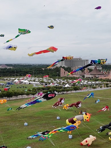 ការបង្ហោះខ្លែងនៅព្រឹត្តិការណ៍ Colour the Sky