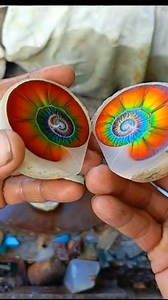 1.5M views · 17K reactions | The beauty of amonite fossils trapped in agate rock #gemstone #fossil #amonite #hobbies #naturalover #oudooradventure #bears #nature #community #hiking #newyearevent #history #mineral #fblifestyle | Supra Afrianto | Facebook