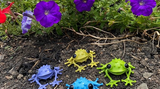 Twin brothers from MA create smiling sculpted frogs to brighten people's days