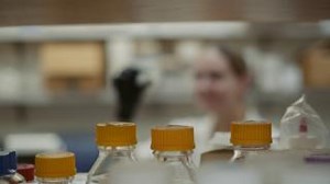 A recent study by Assistant Prof. Lisa Racki’s team reveals how polyphosphates play a pivotal role in bacterial dormancy, shielding them from antibiotics. Published in PNAS, this research could lead to new strategies for combating infections resistant to conventional antibiotics. More: https://ow.ly/geTP50RfeWp | Scripps Research